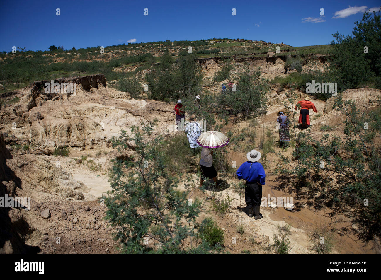 Donga hi-res stock photography and images - Alamy