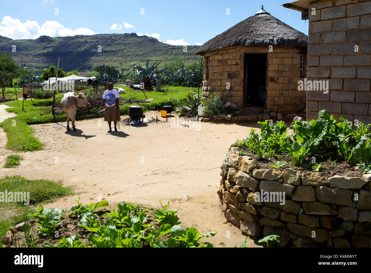 A female farmer standing outside a typical looking farm yard, Lesotho ...