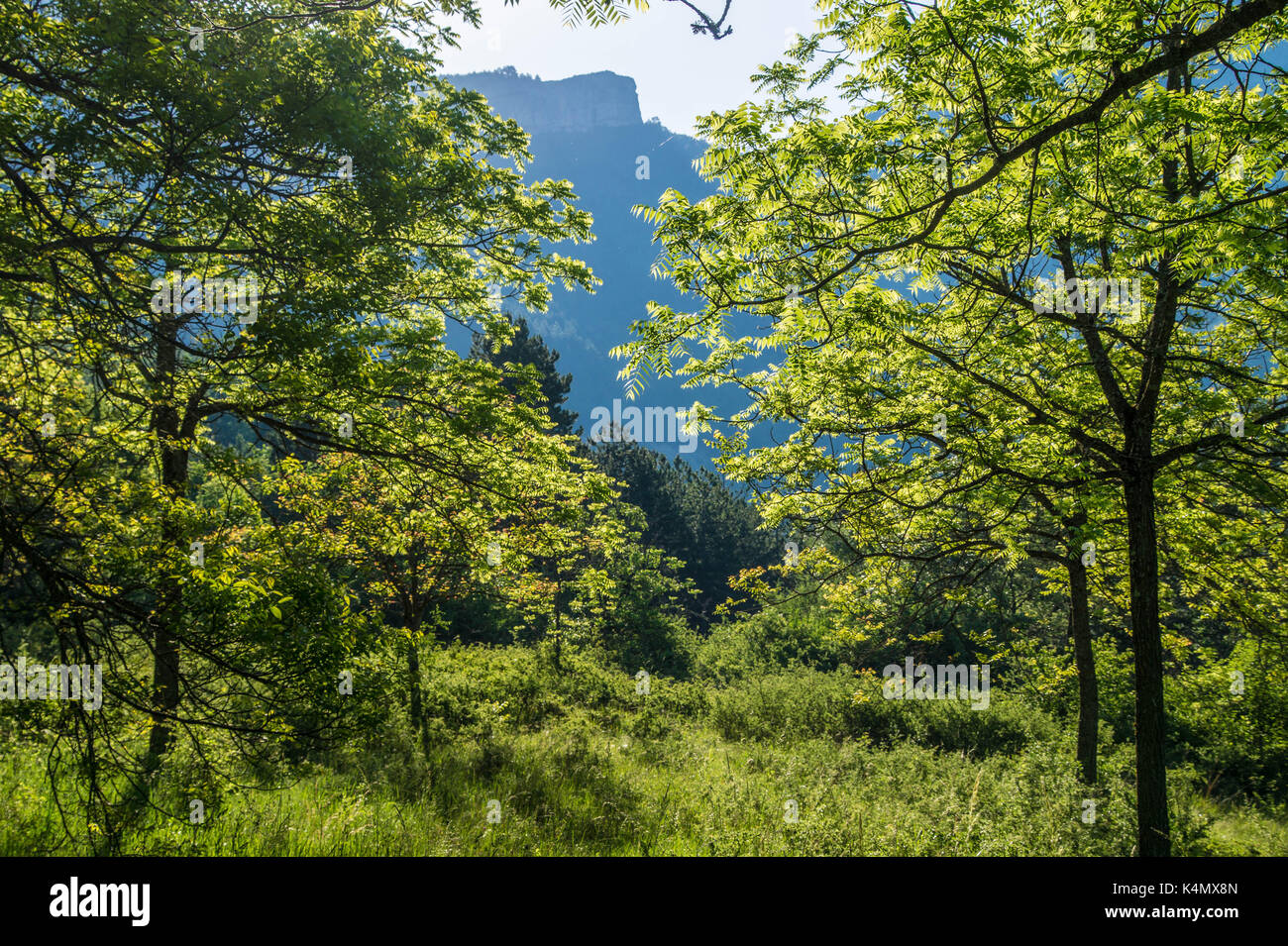 landscape of french alps Stock Photo - Alamy