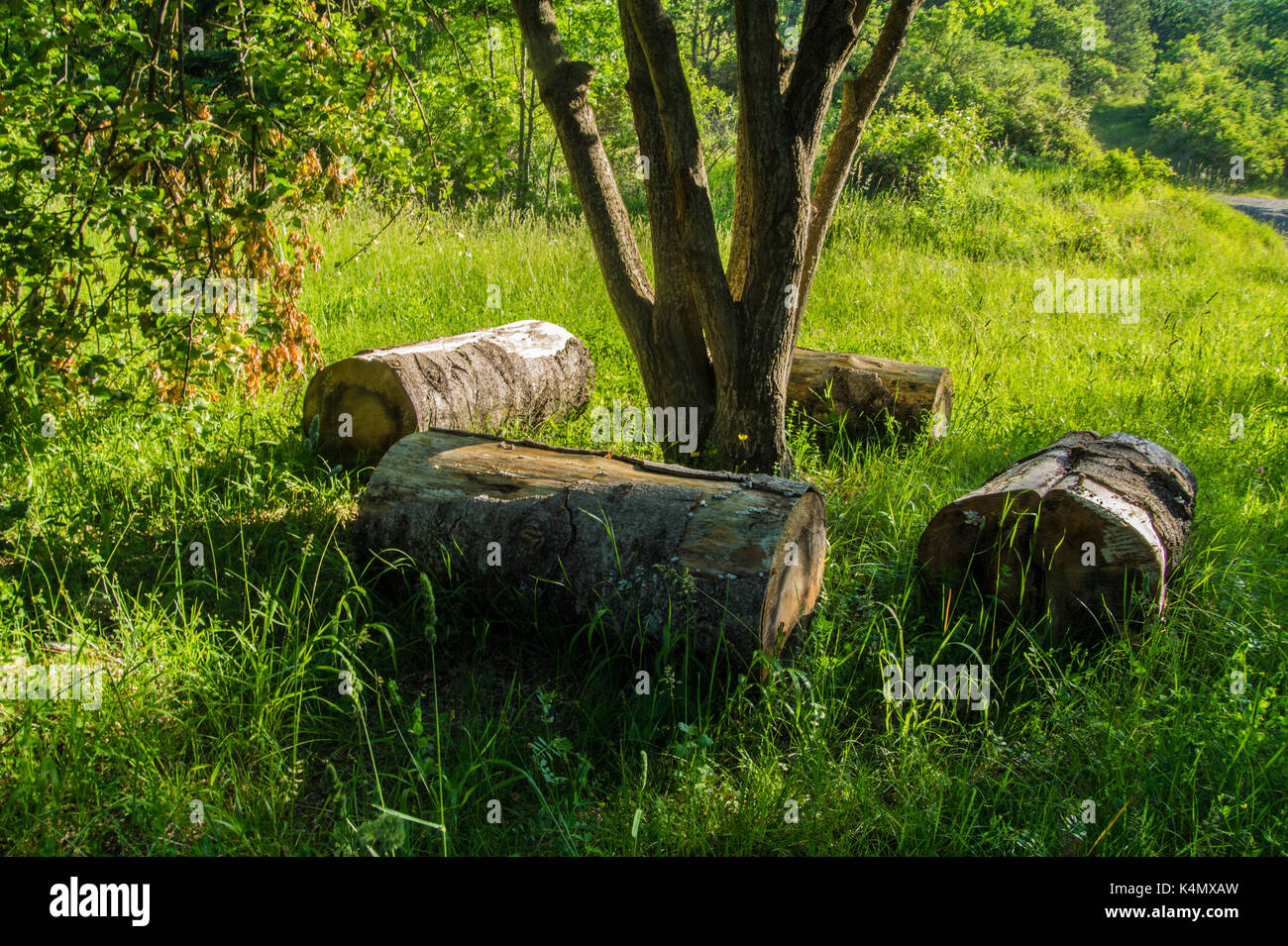 landscape of french alps Stock Photo - Alamy