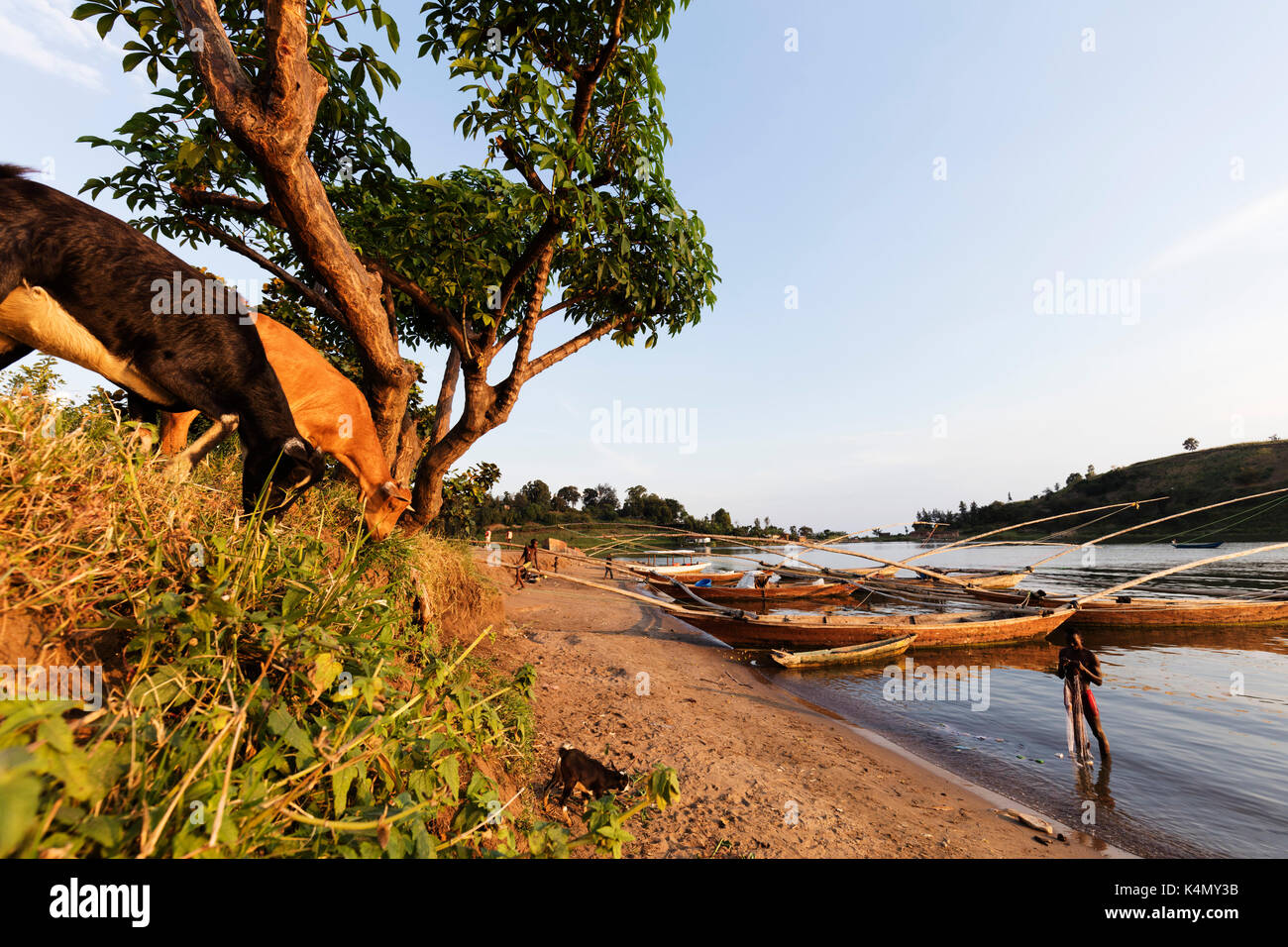 Fishing boats, Lake Kivu, Gisenyi, Rwanda, Africa Stock Photo - Alamy
