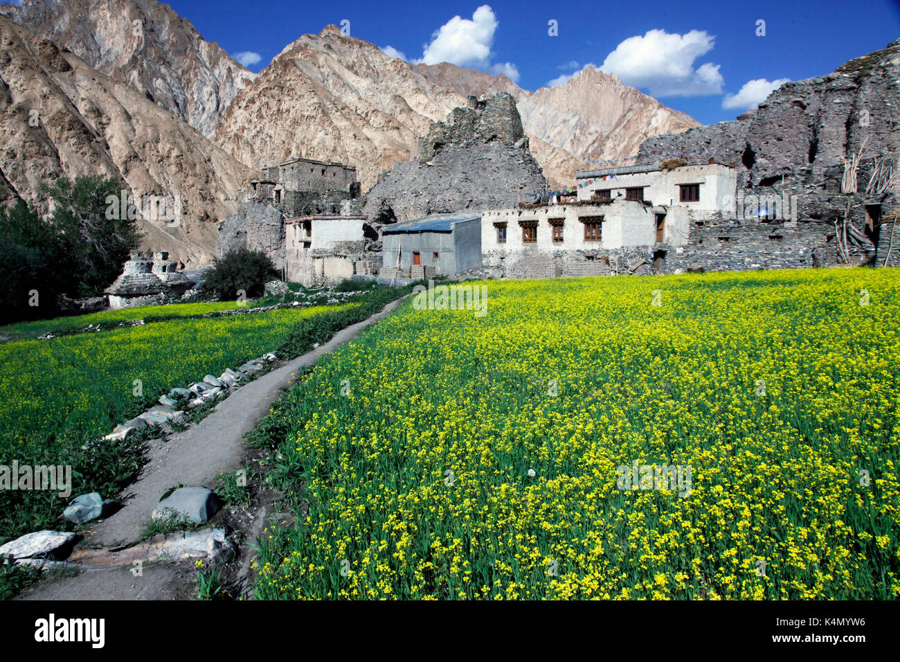 A mountain village in the Markha Valley, Zanskar, India, Asia Stock ...