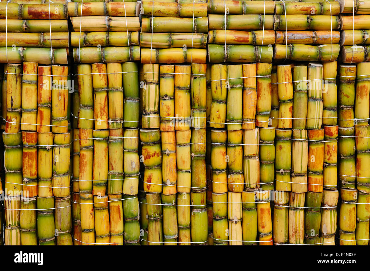 Packs of sugar cane ready to sale, South America Stock Photo - Alamy