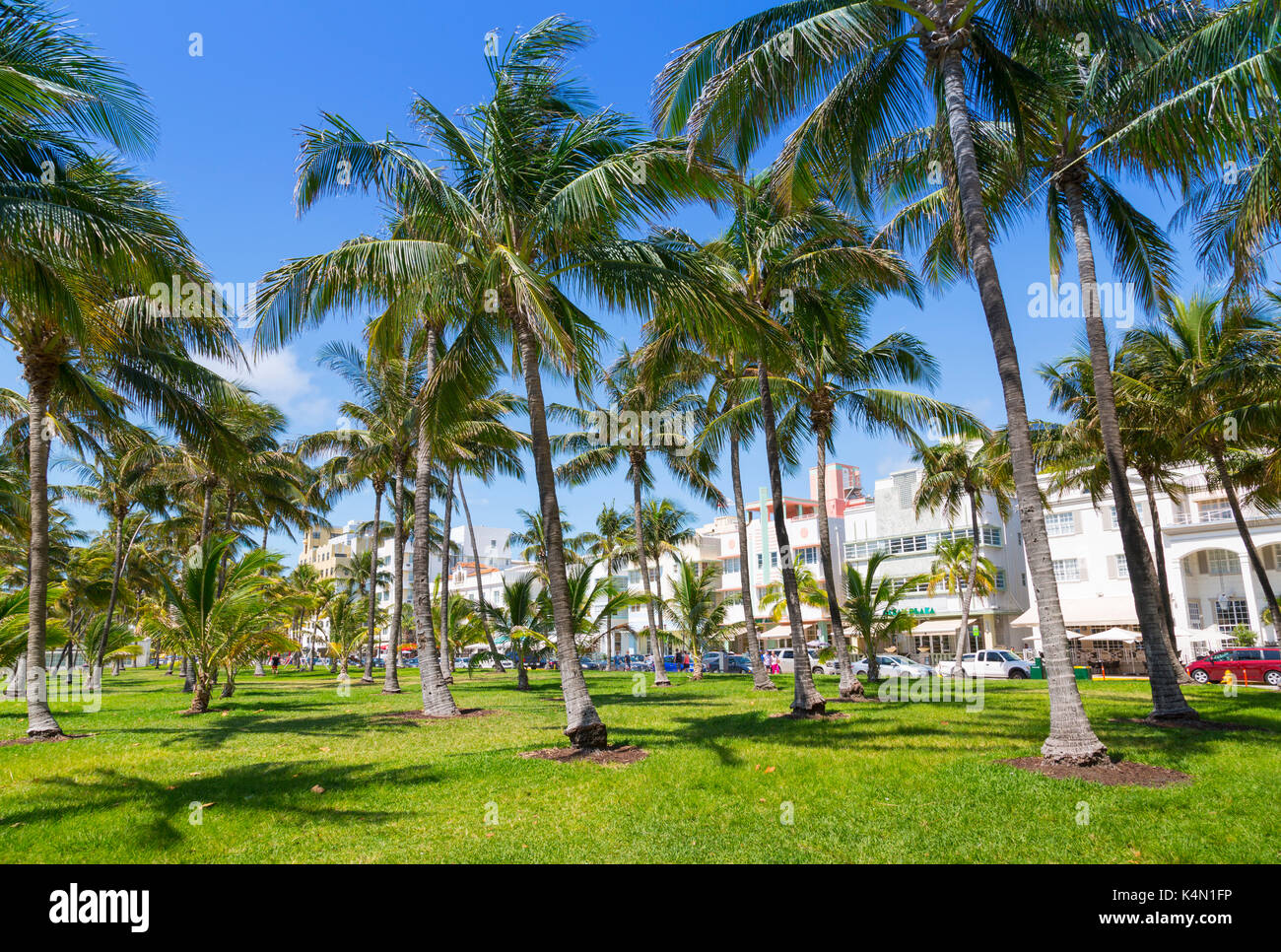 Miami Art Deco Palm Tree 14+ Thousand Miami Art Deco Royalty Free