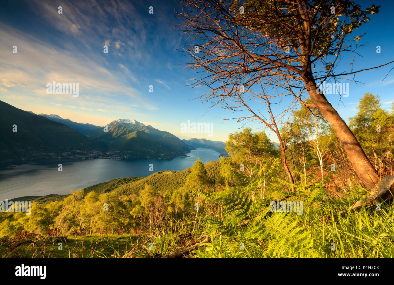 Lake Como surrounded by green meadows framed by the first lights of ...