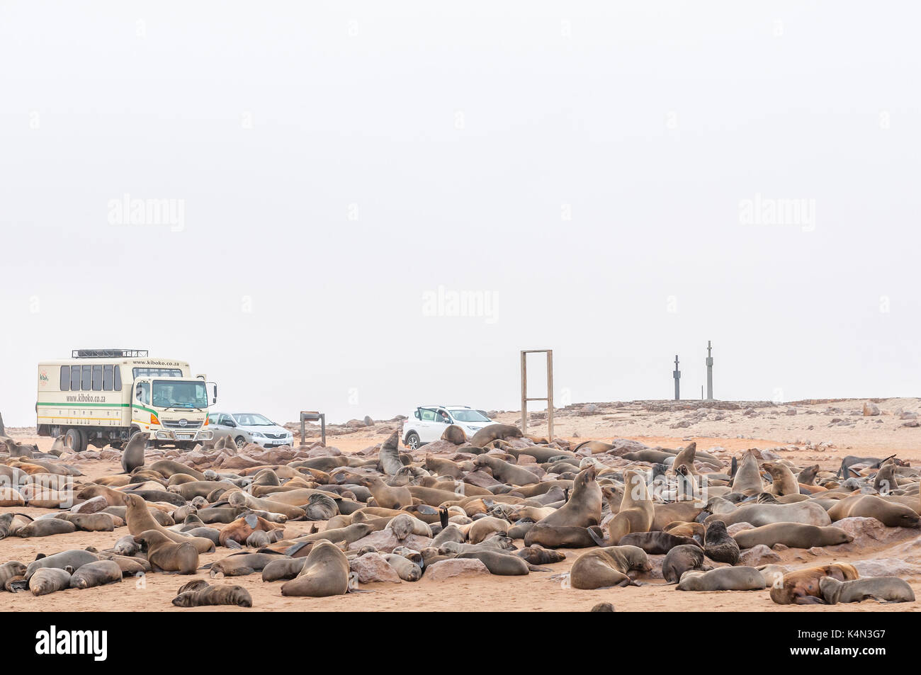 CAPE CROSS, NAMIBIA - JUNE 29, 2017: Unidentified tourists at the seal ...