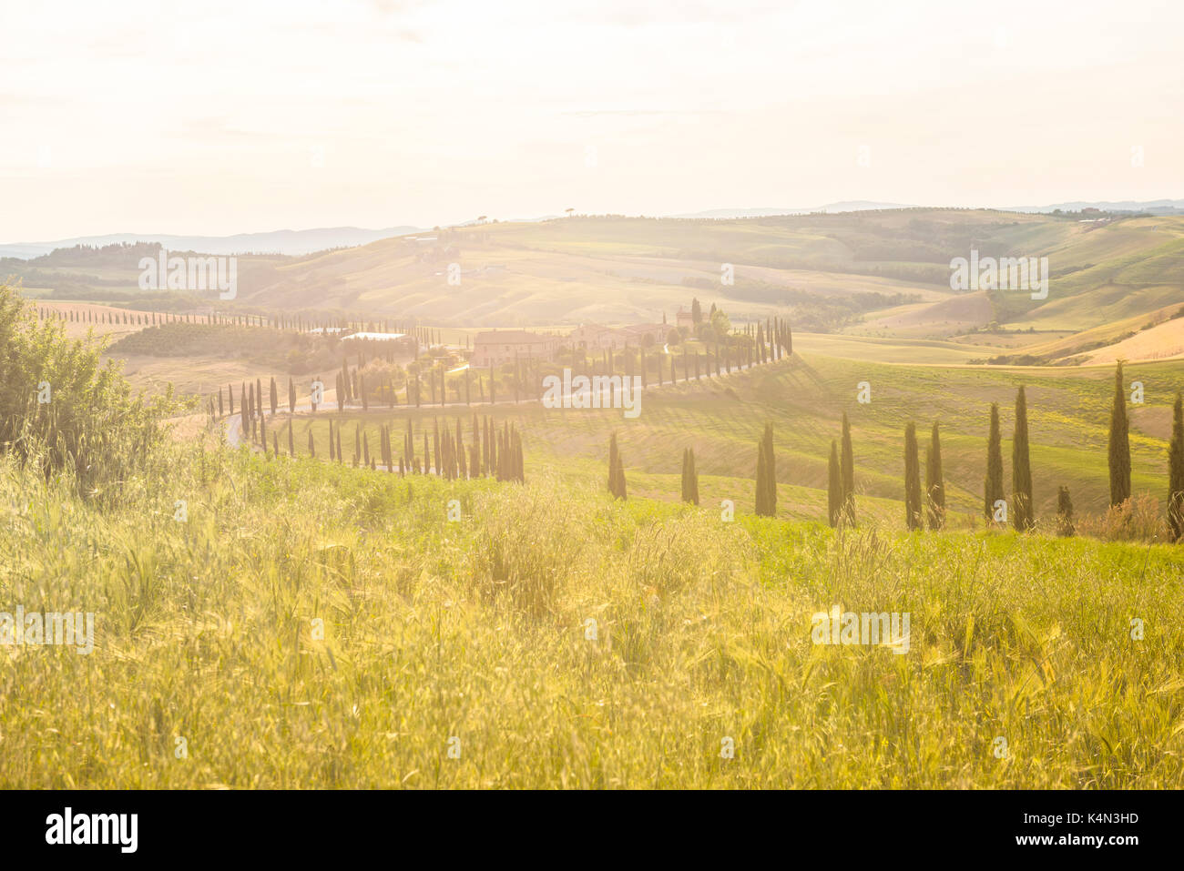 Farmhouse and cypresses, Val d'Orcia (Orcia Valley), UNESCO World ...