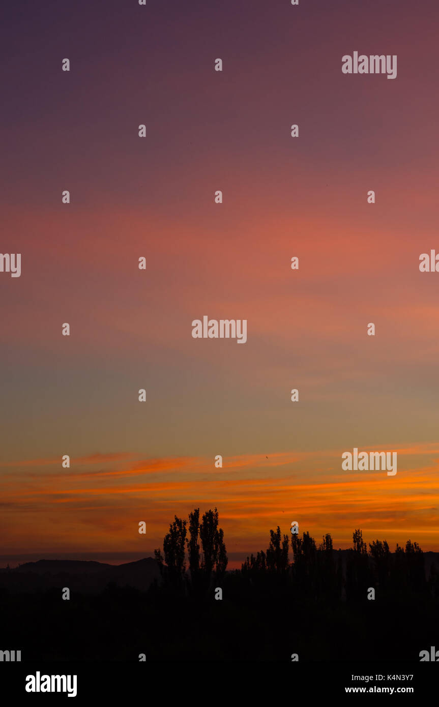 landscape with dramatic light - orange clouds and the outline of trees ...