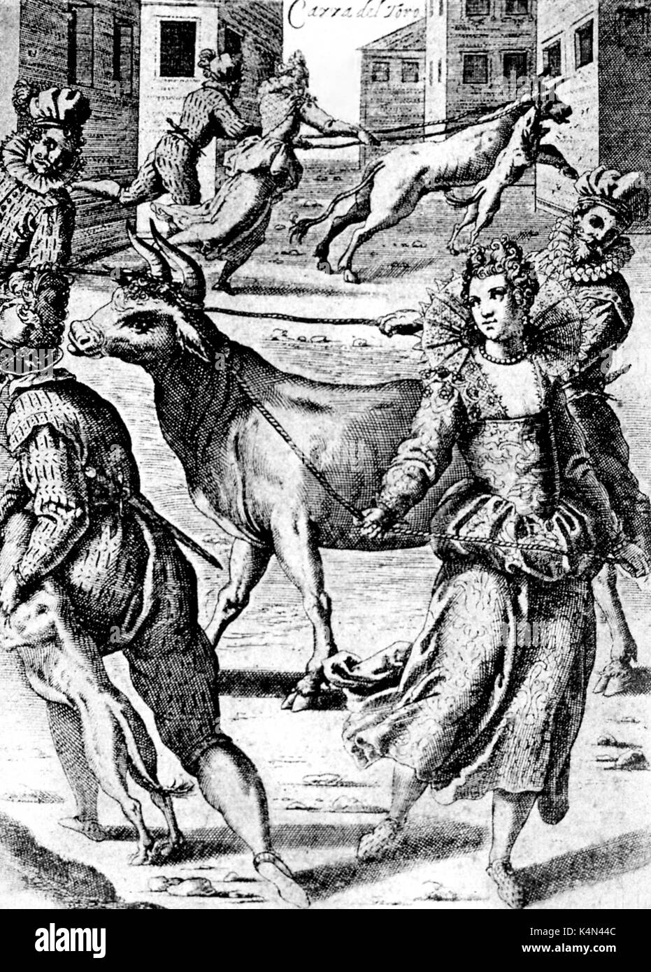 VENICE - CARNIVAL - LA CAZZA DEL TORO - 1560 Leading bulls. Italy Stock ...