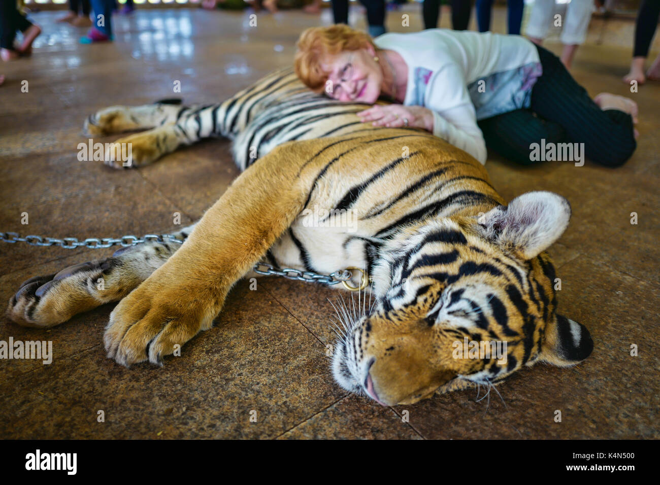 Lady tigers hi-res stock photography and images - Alamy