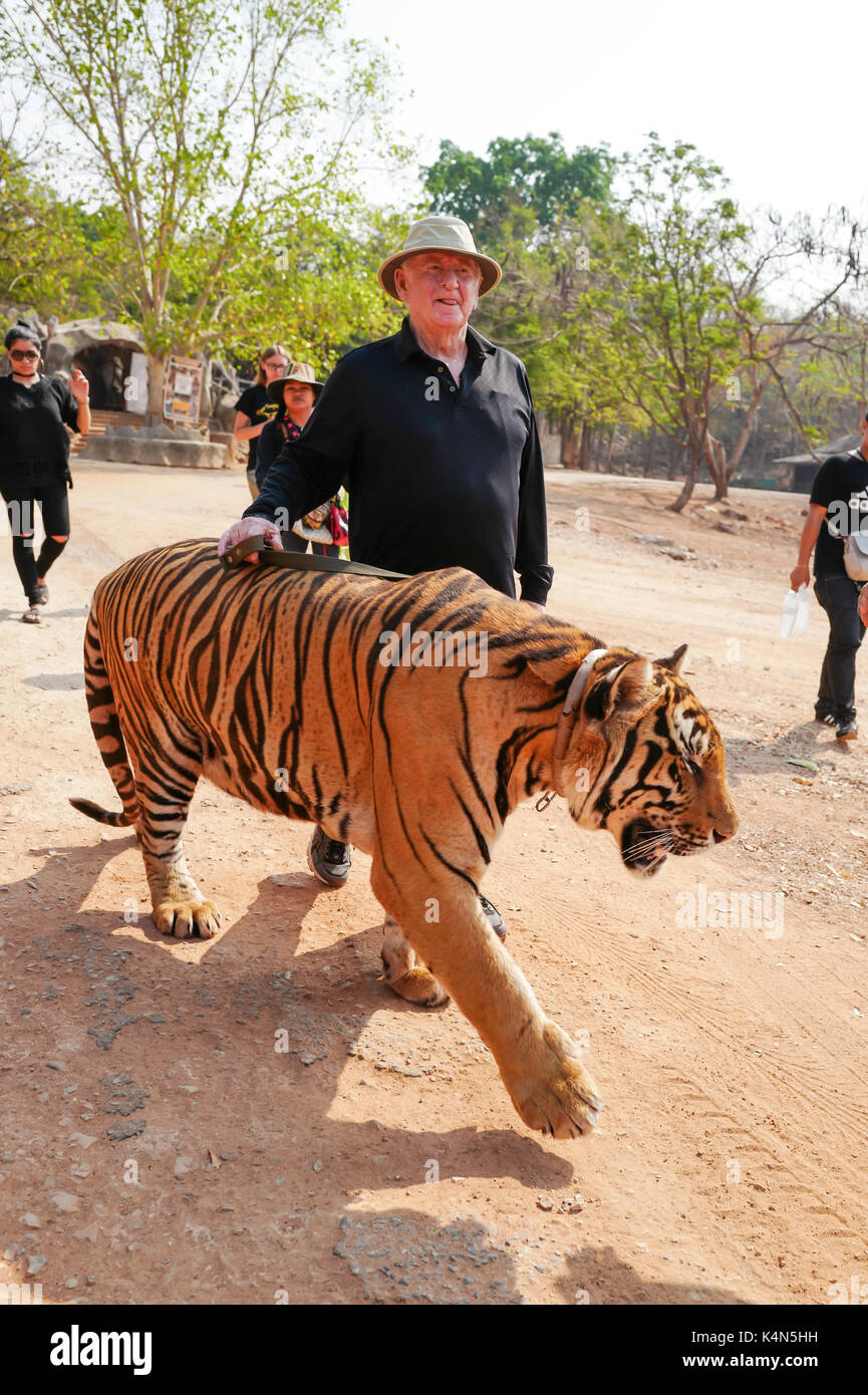 A. Man Visitors are walking and excersing the Tigers Buddhist Temple in ...