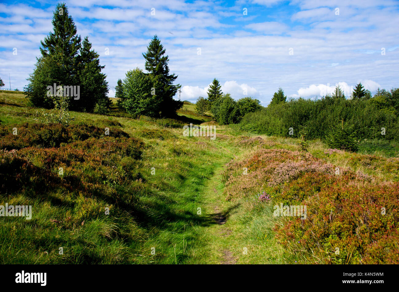The peak of the Champ du Feu in the Vosges mountains Stock Photo - Alamy