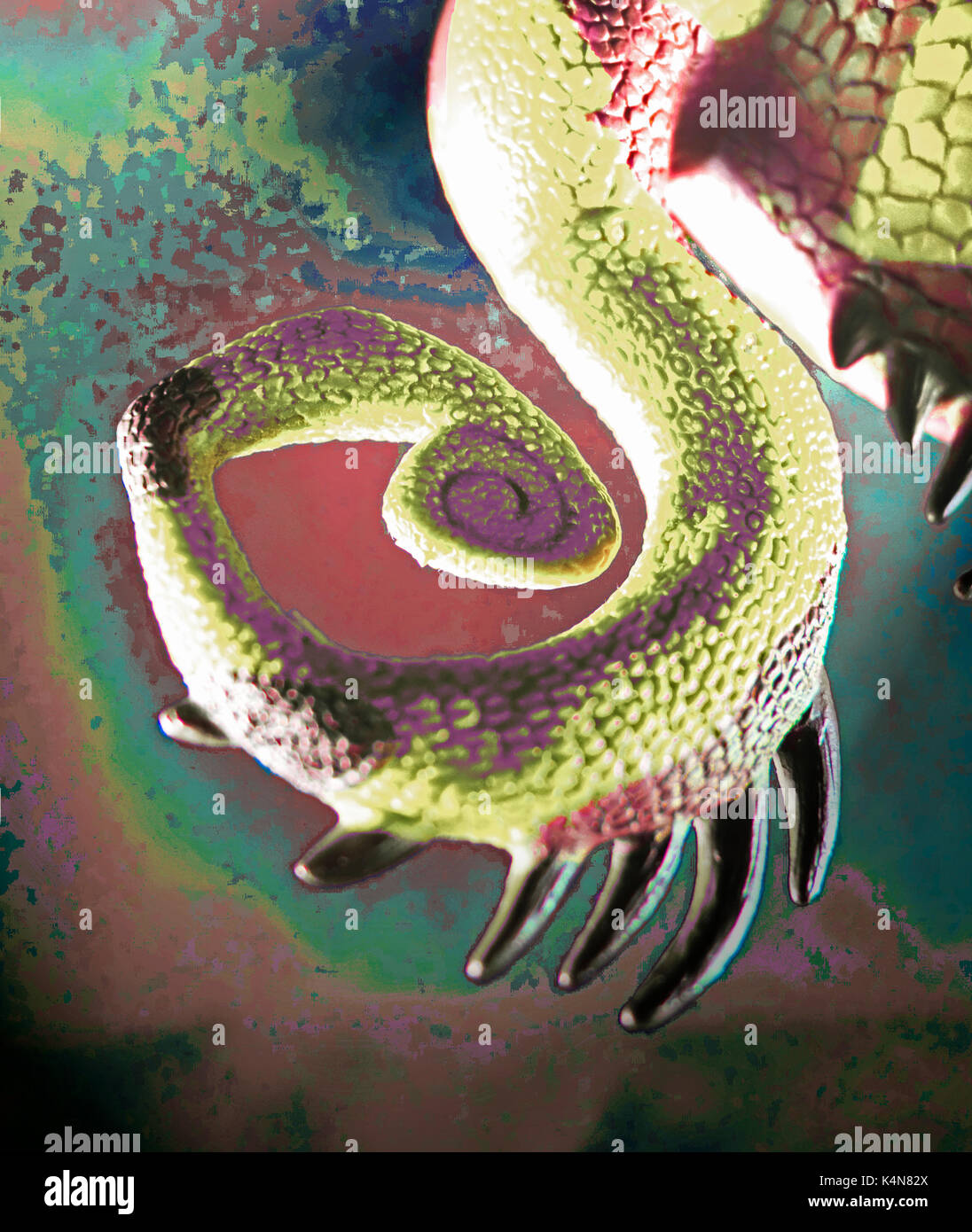 Cool trippy background grey abstract hi-res stock photography and ...