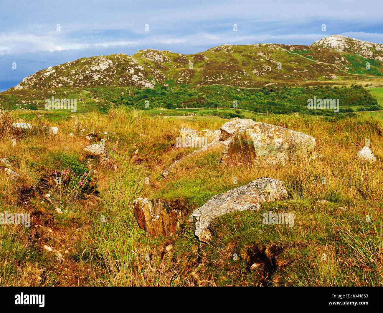 natural landscape and trees Stock Photo - Alamy
