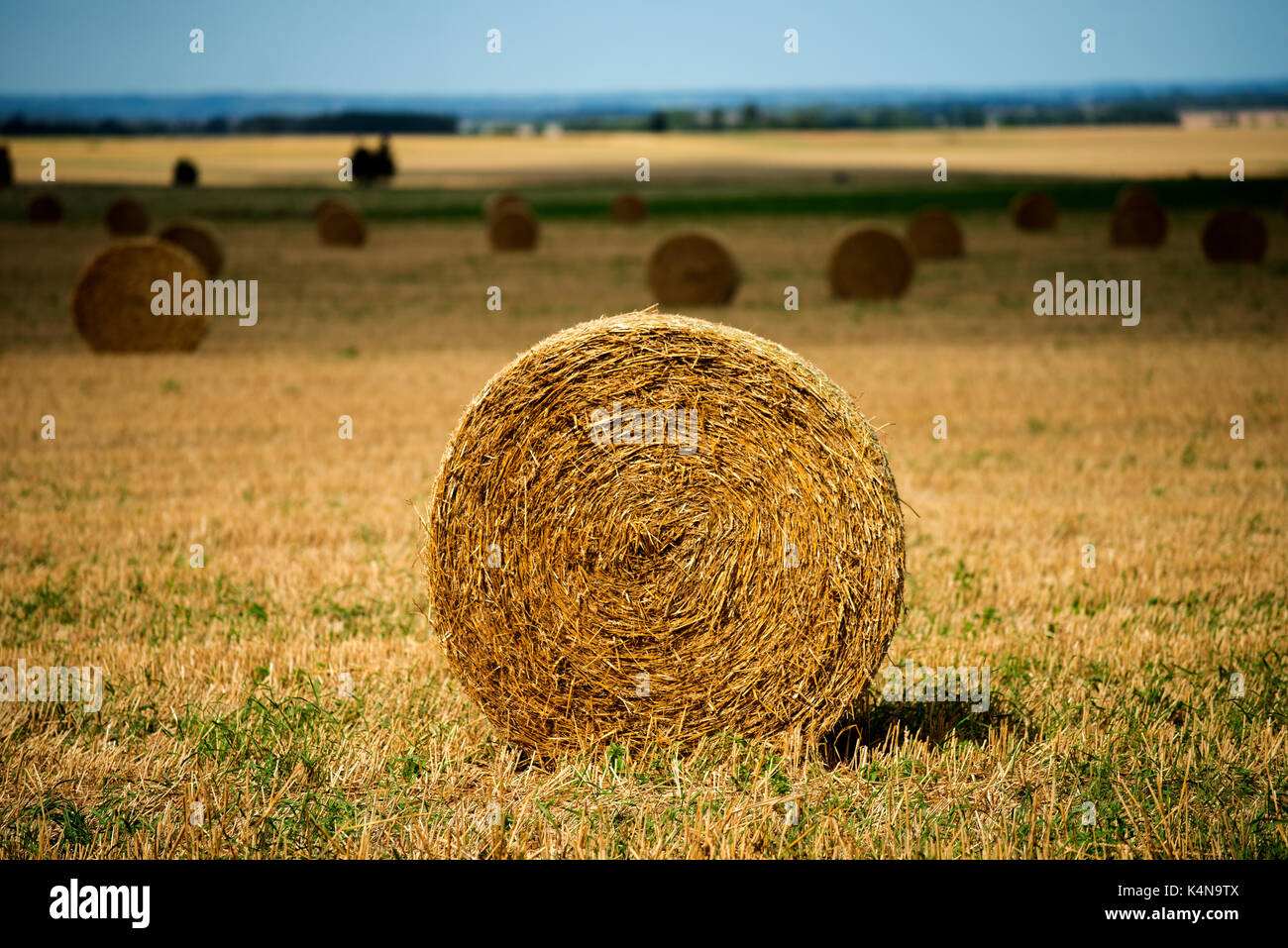 Harvest straw hi-res stock photography and images - Alamy