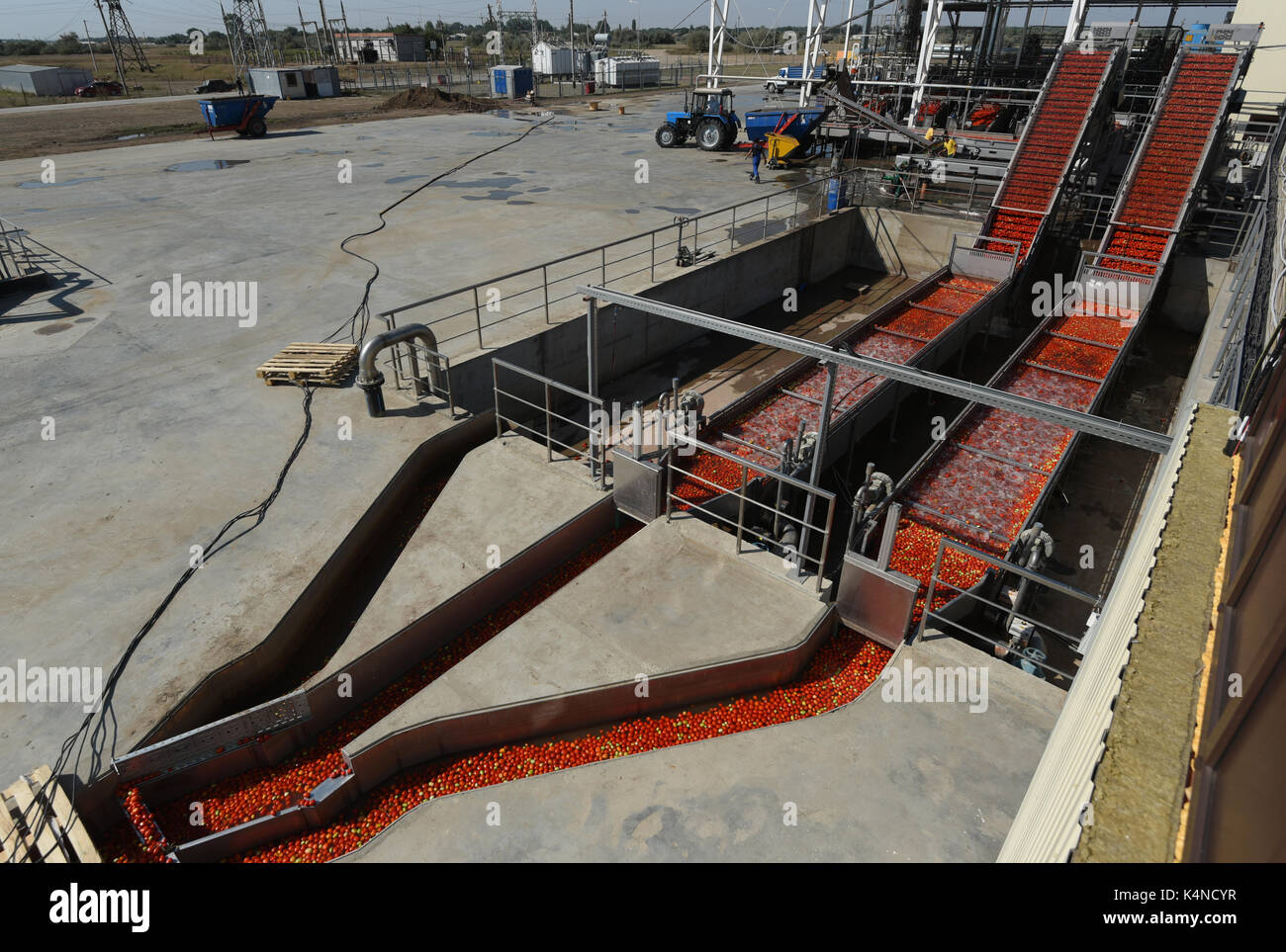 Tomato factory hi-res stock photography and images - Alamy