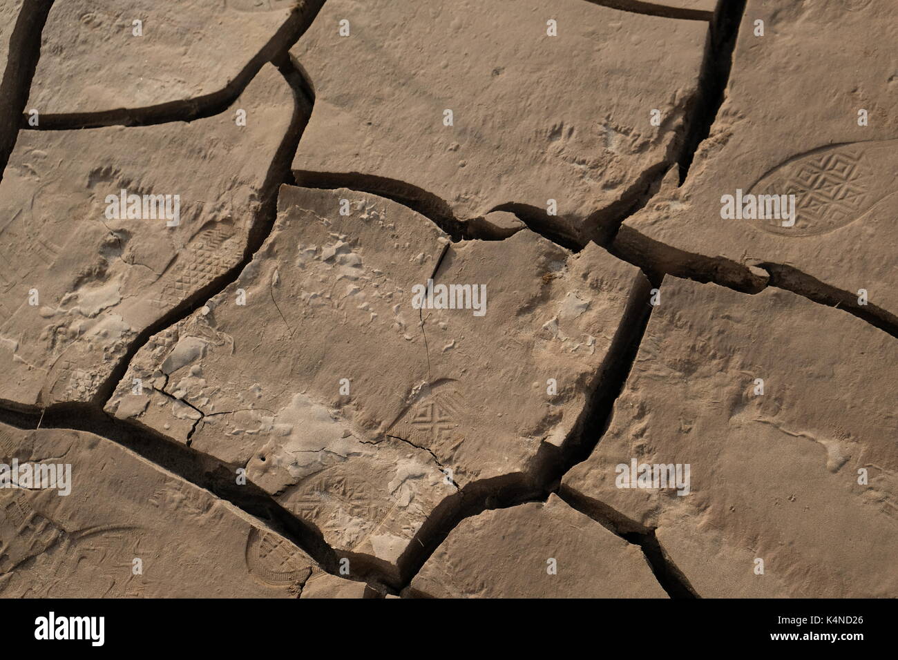 Dry and cracked clay Stock Photo - Alamy