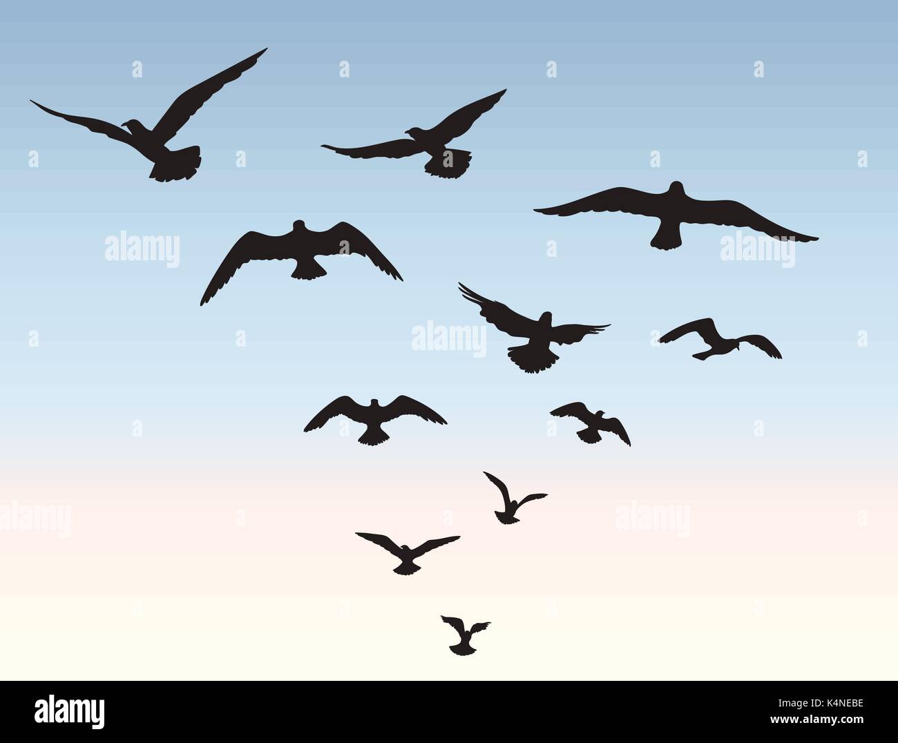 Blue Bird Flying Silhouette