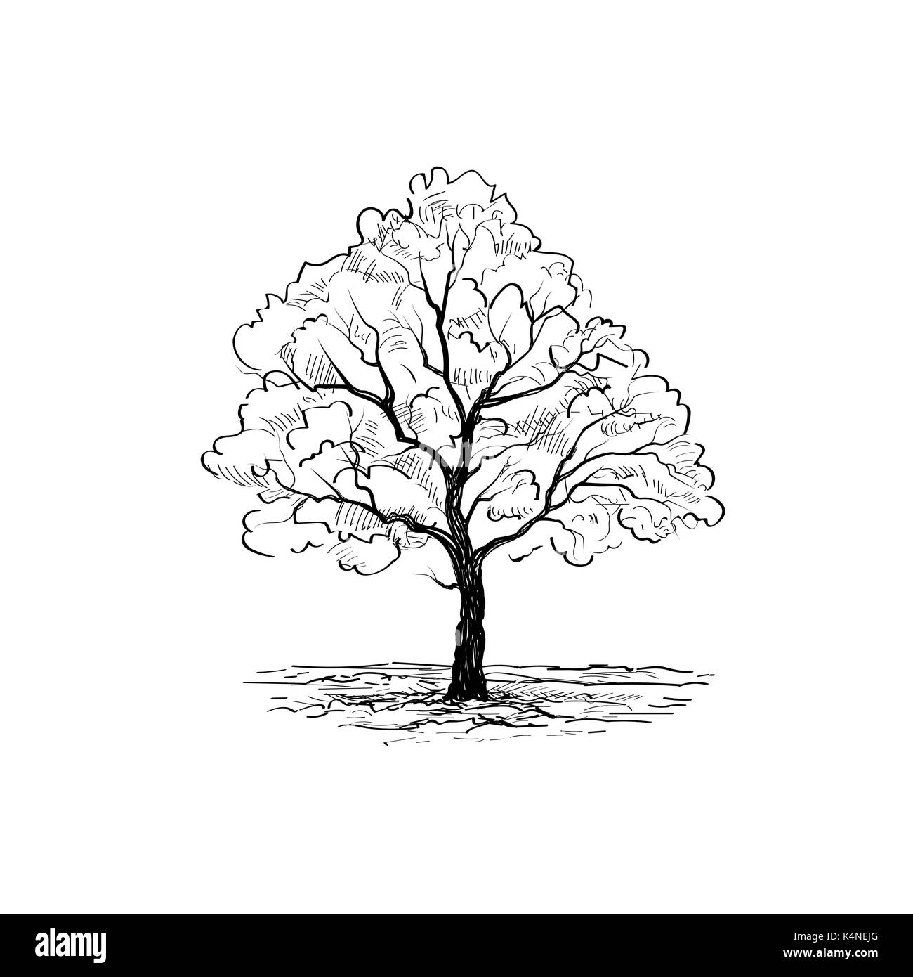 Engraved nature sign hi-res stock photography and images - Alamy