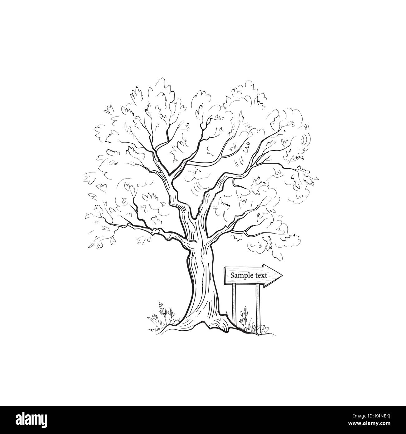 Tree with arrow sign. Summer nature landscape sketch. Hand drawn vector ...