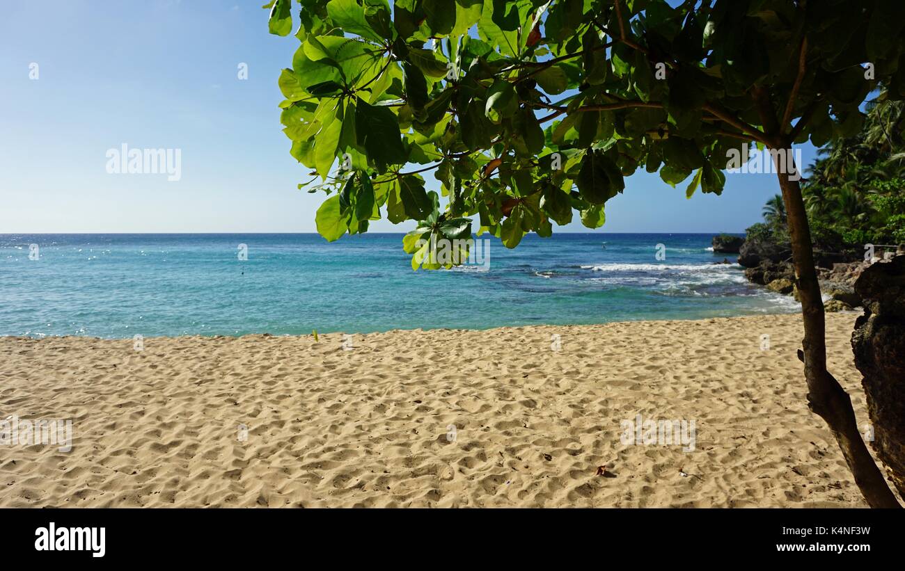 caribbean playa grande beach ion the dominican republic Stock Photo - Alamy
