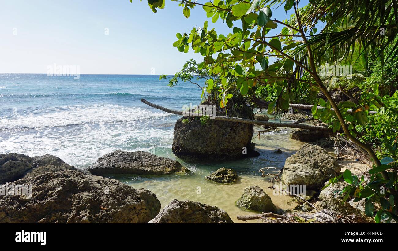 caribbean playa grande beach ion the dominican republic Stock Photo - Alamy