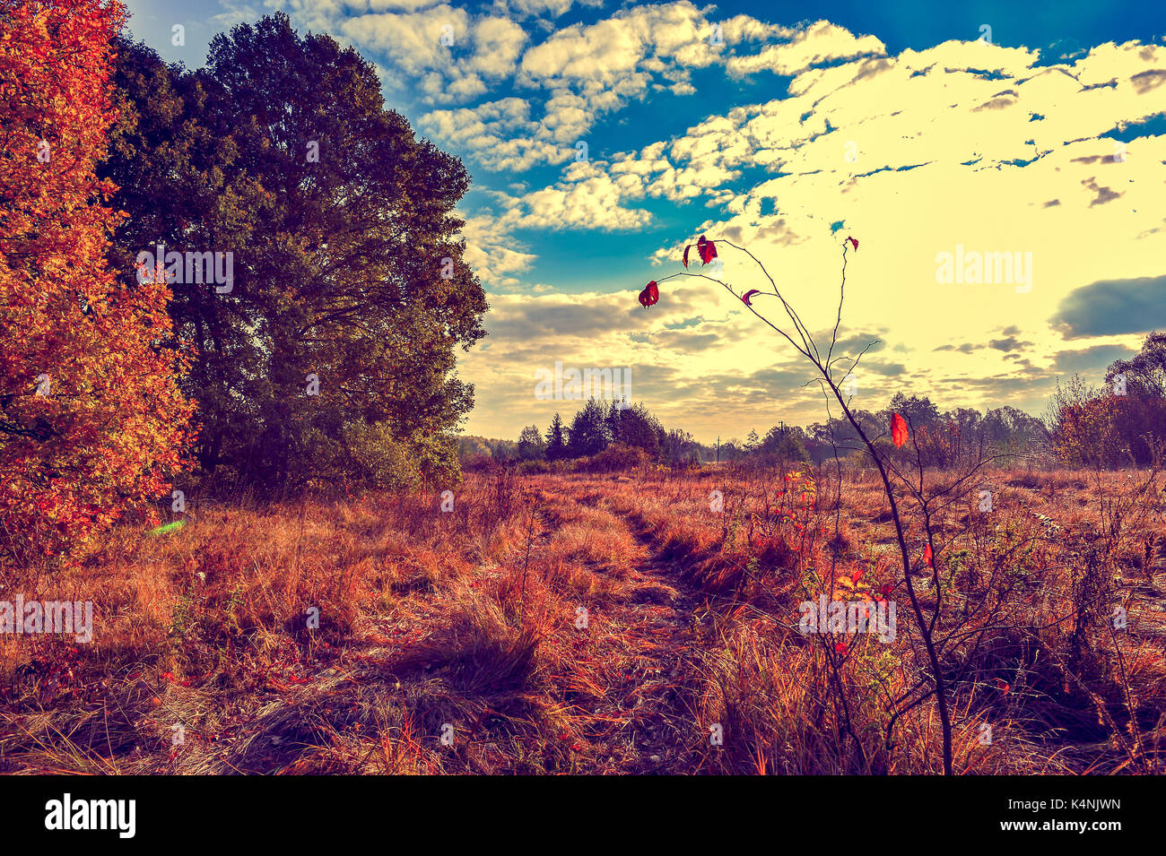 Earthen road hi-res stock photography and images - Alamy