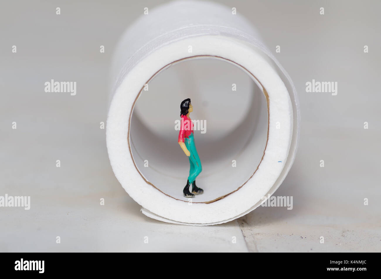 Miniature Little People Woman Inside Of A Paper Toilet In A White