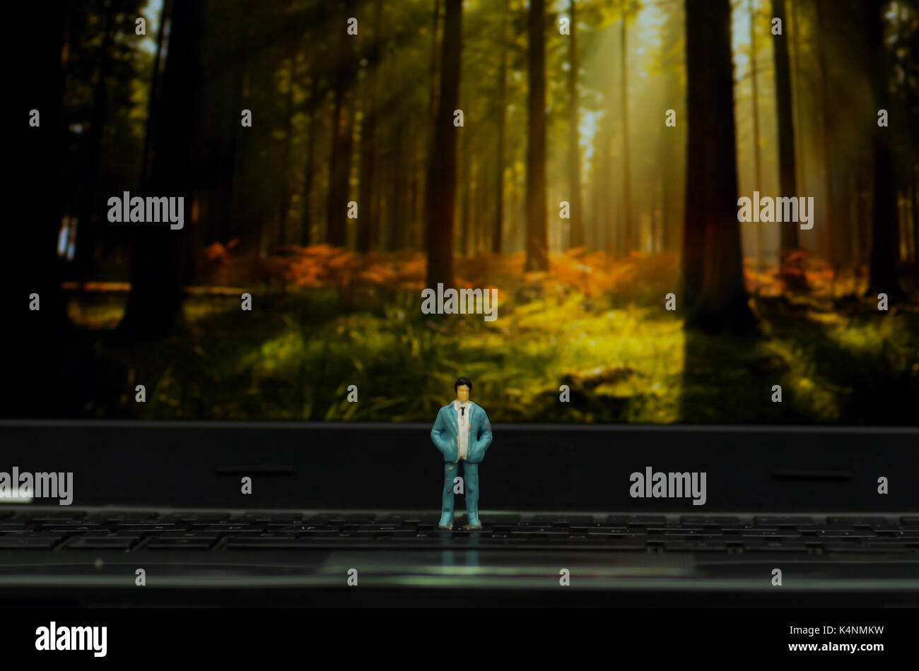 Miniature little people, man over a computer keyboard, in a nature ...