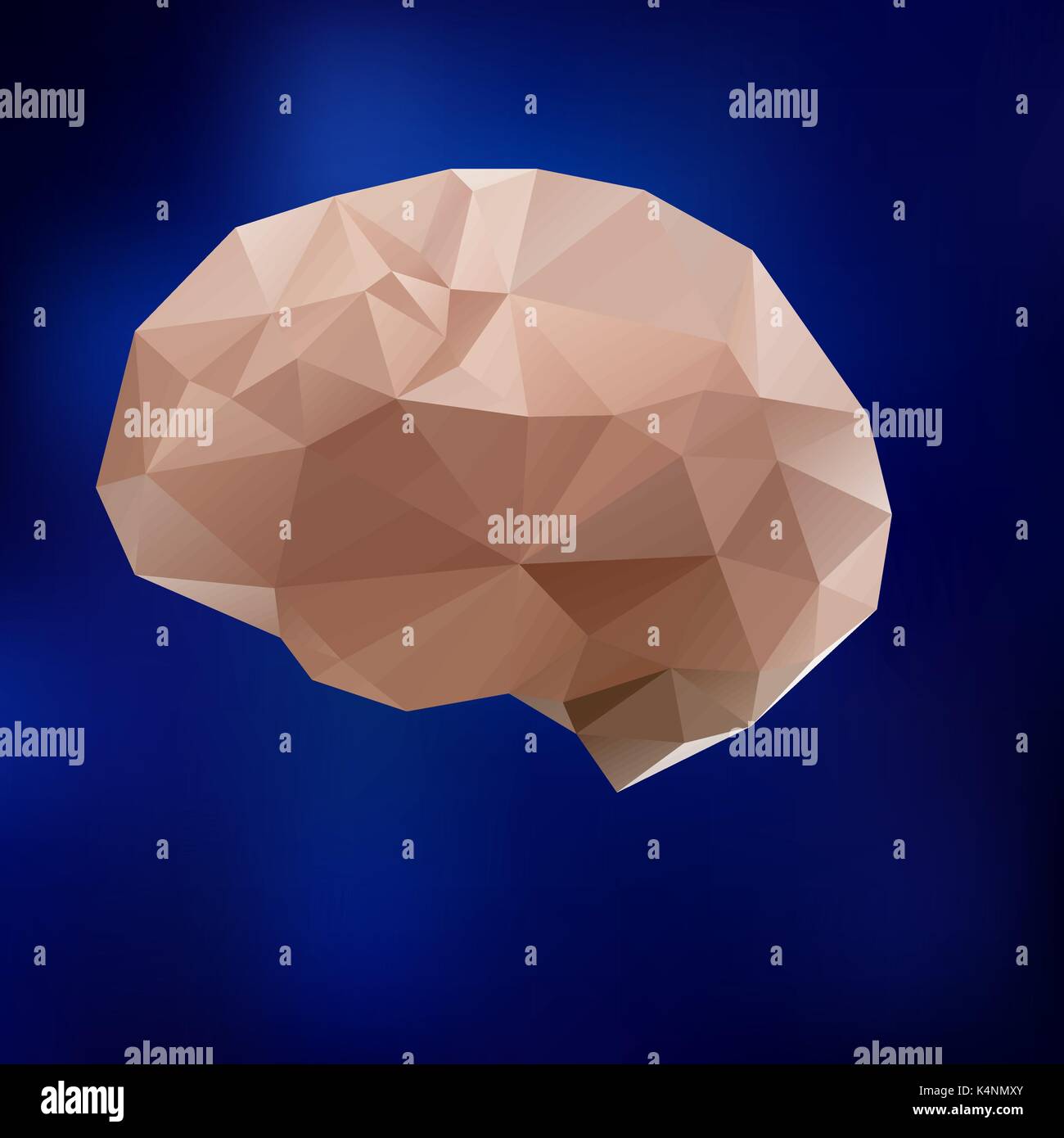 Human brain triangle illustration. Triangled brain, medical model Stock ...