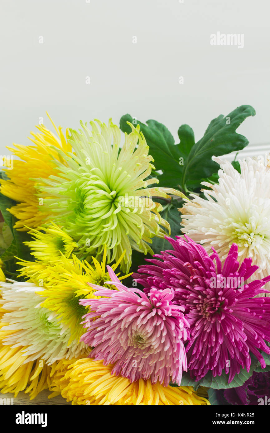 Chrisantemum flowers bouquet Stock Photo - Alamy