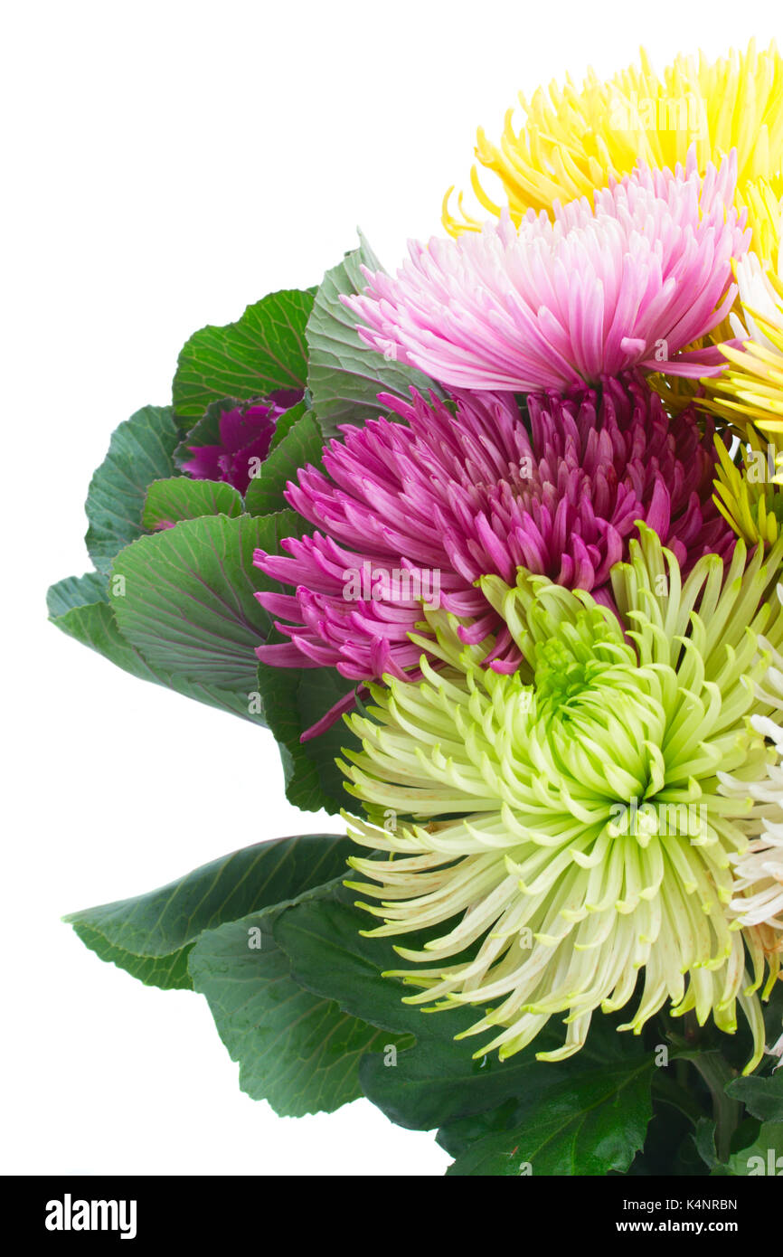 Chrisantemum flowers bouquet Stock Photo - Alamy