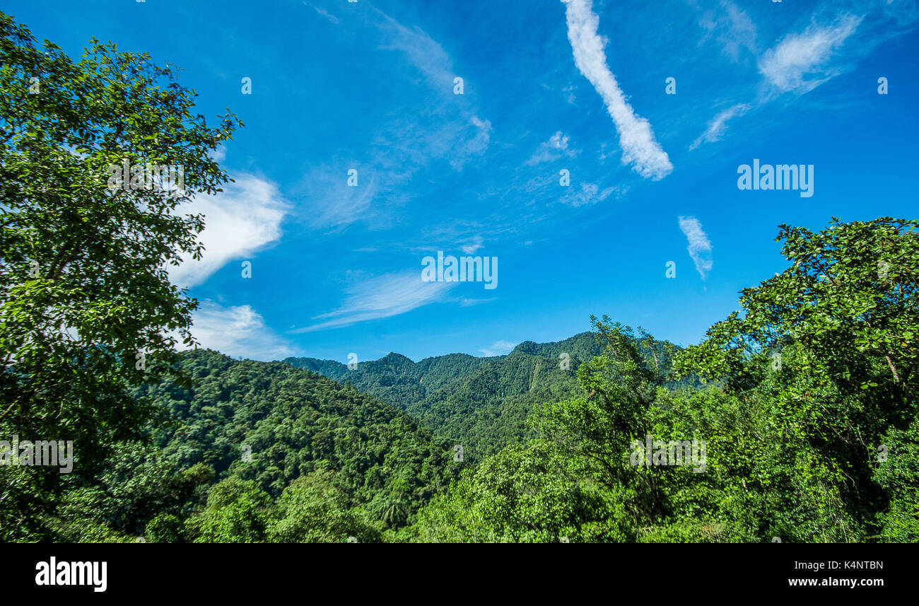 Beautiful landscape of the forest in Mindo, in gorgeous blue sky Stock ...