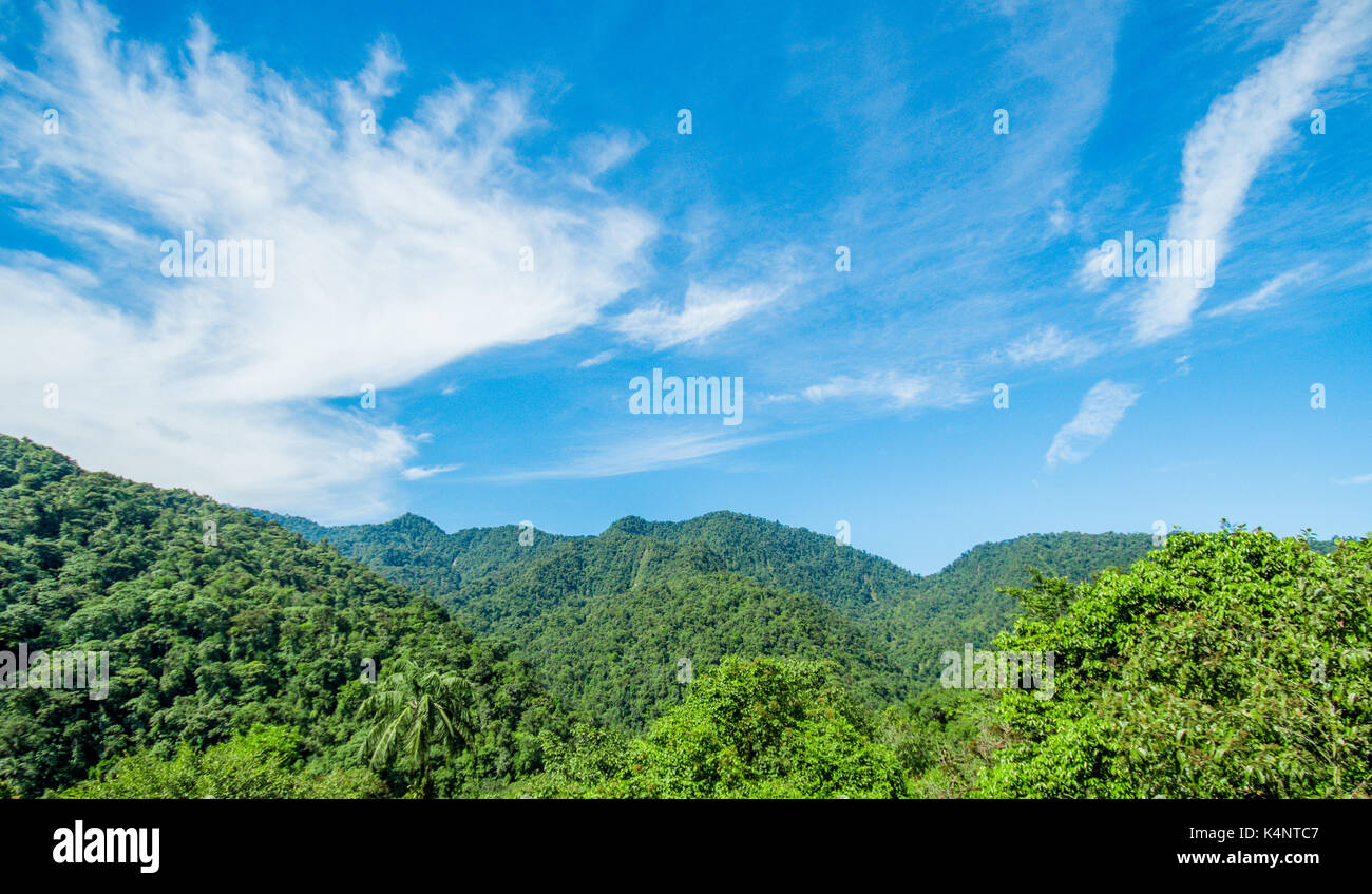 Beautiful landscape of the forest in Mindo, in gorgeous blue sky Stock ...