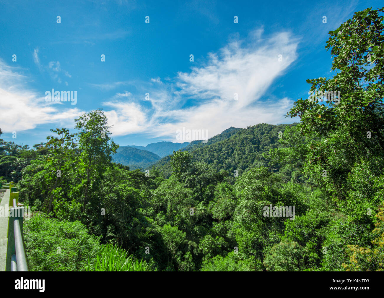 Beautiful landscape of the forest in Mindo, in gorgeous blue sky Stock ...