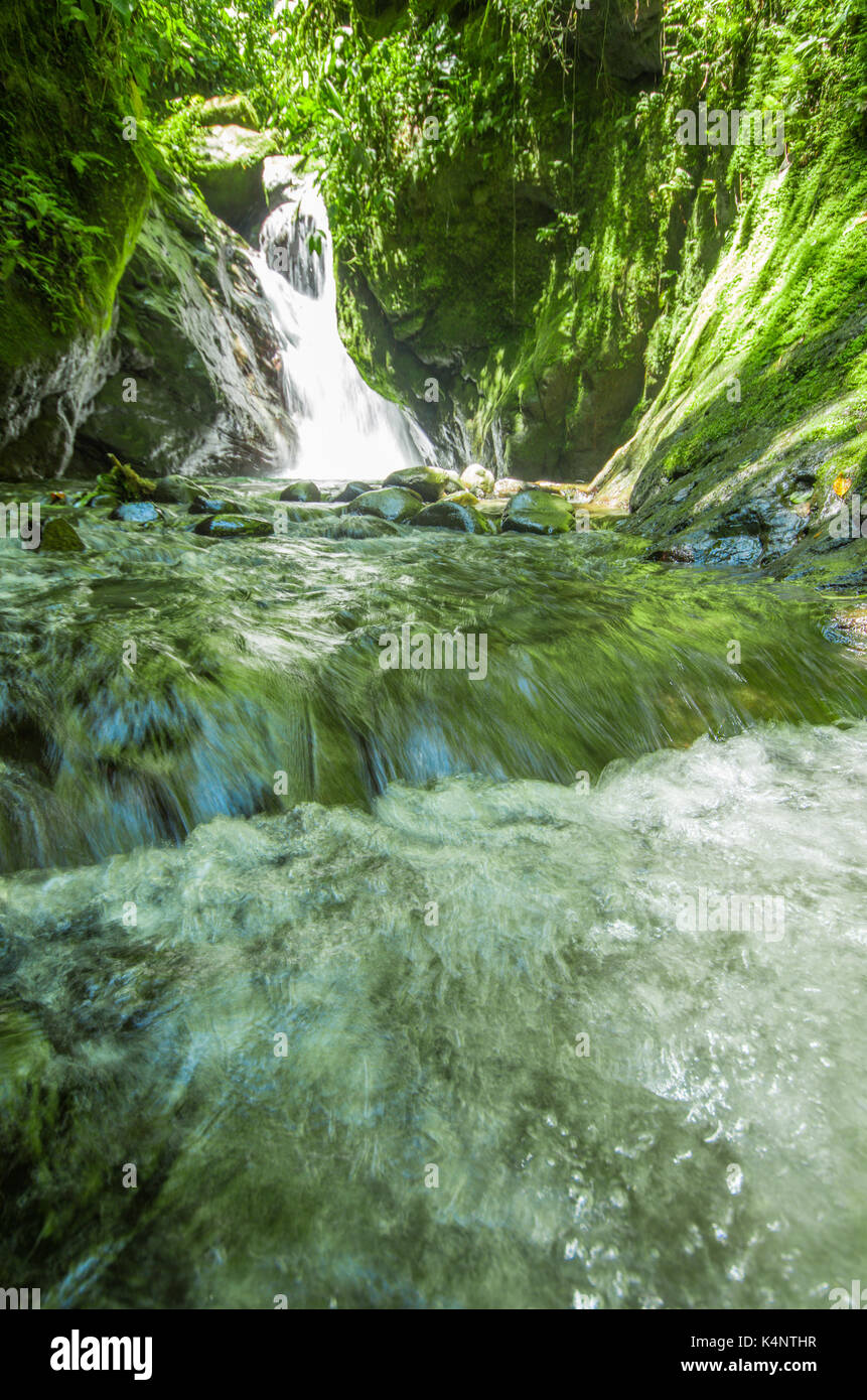 Beautiful small waterfall located inside of a green forest with stones ...