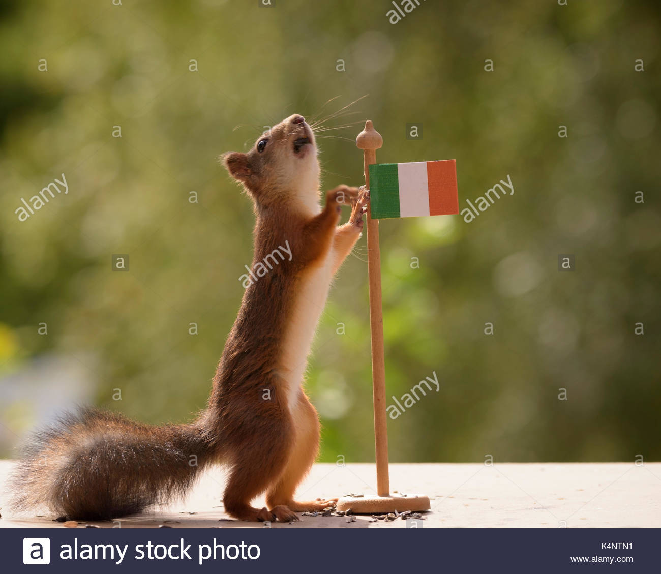 Vlag High Resolution Stock Photography and Images - Alamy