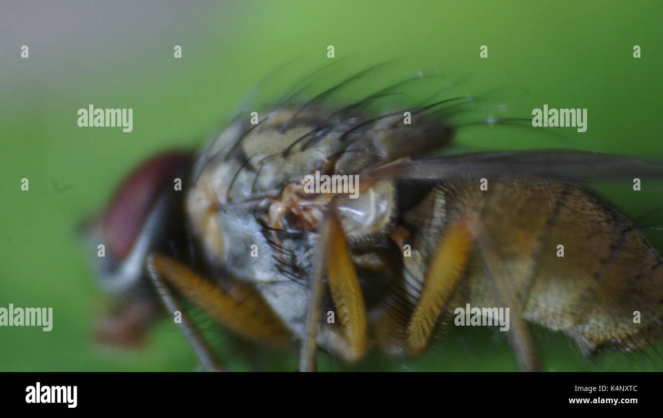 Restplass hi-res stock photography and images - Alamy