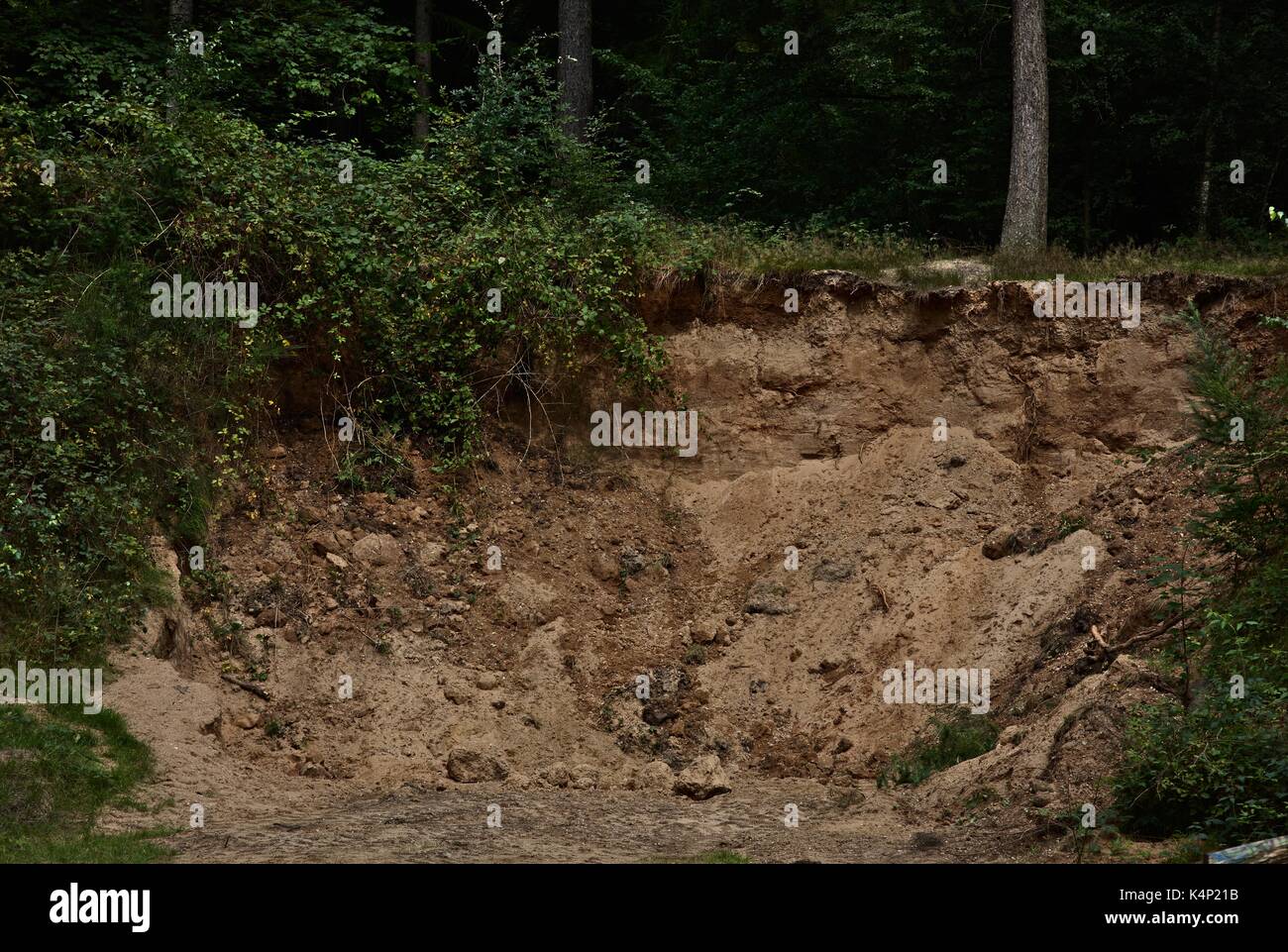 small landslide in forest Stock Photo - Alamy