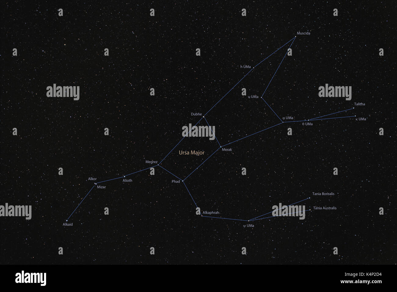 Ursa major hi-res stock photography and images - Alamy
