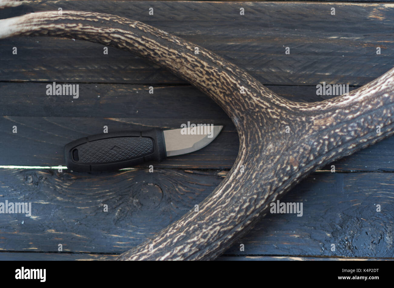 Hunting Swedish knife with a deer horn Stock Photo - Alamy