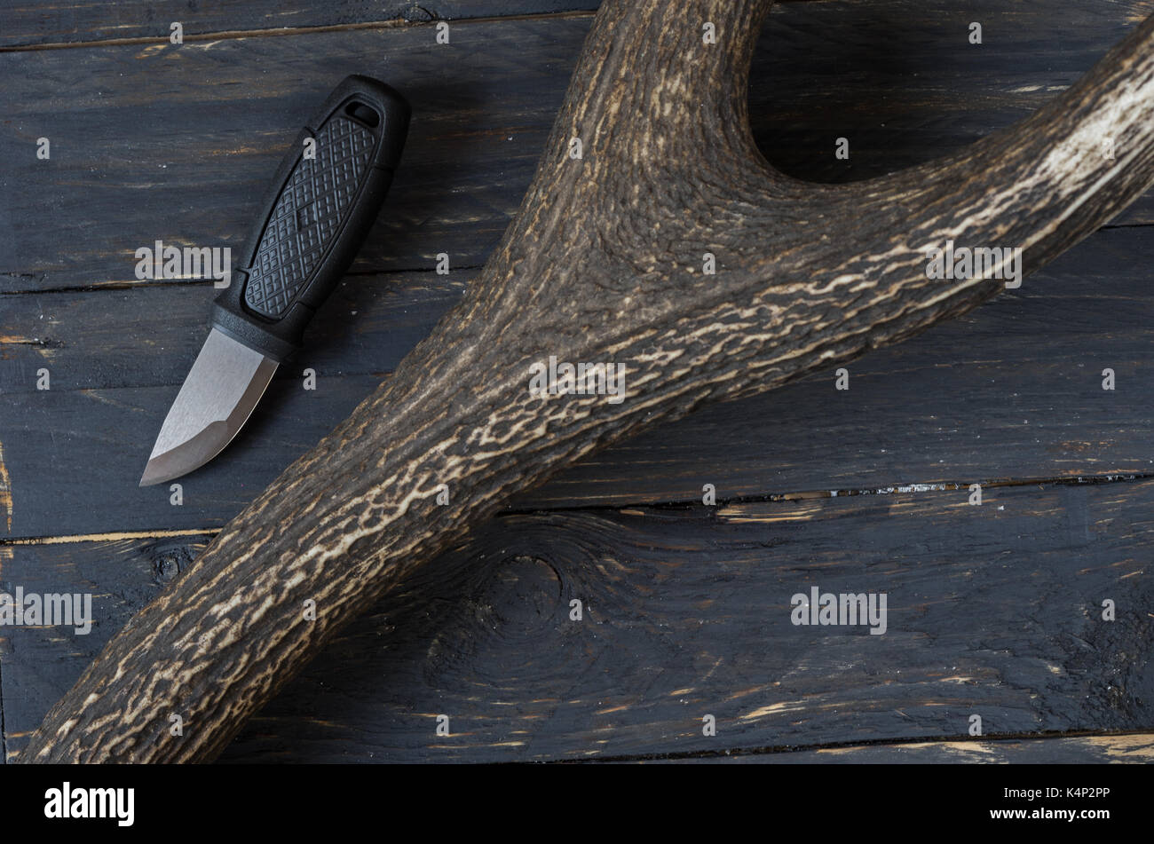 Small hunting knife and a deer horn Stock Photo - Alamy