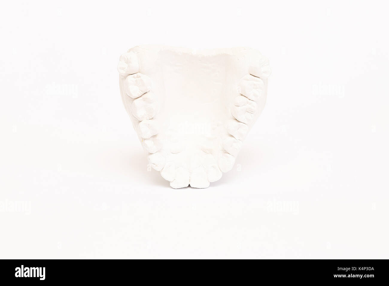 Close-up individual tooth tray Orthodontic dental theme. Invisible ...