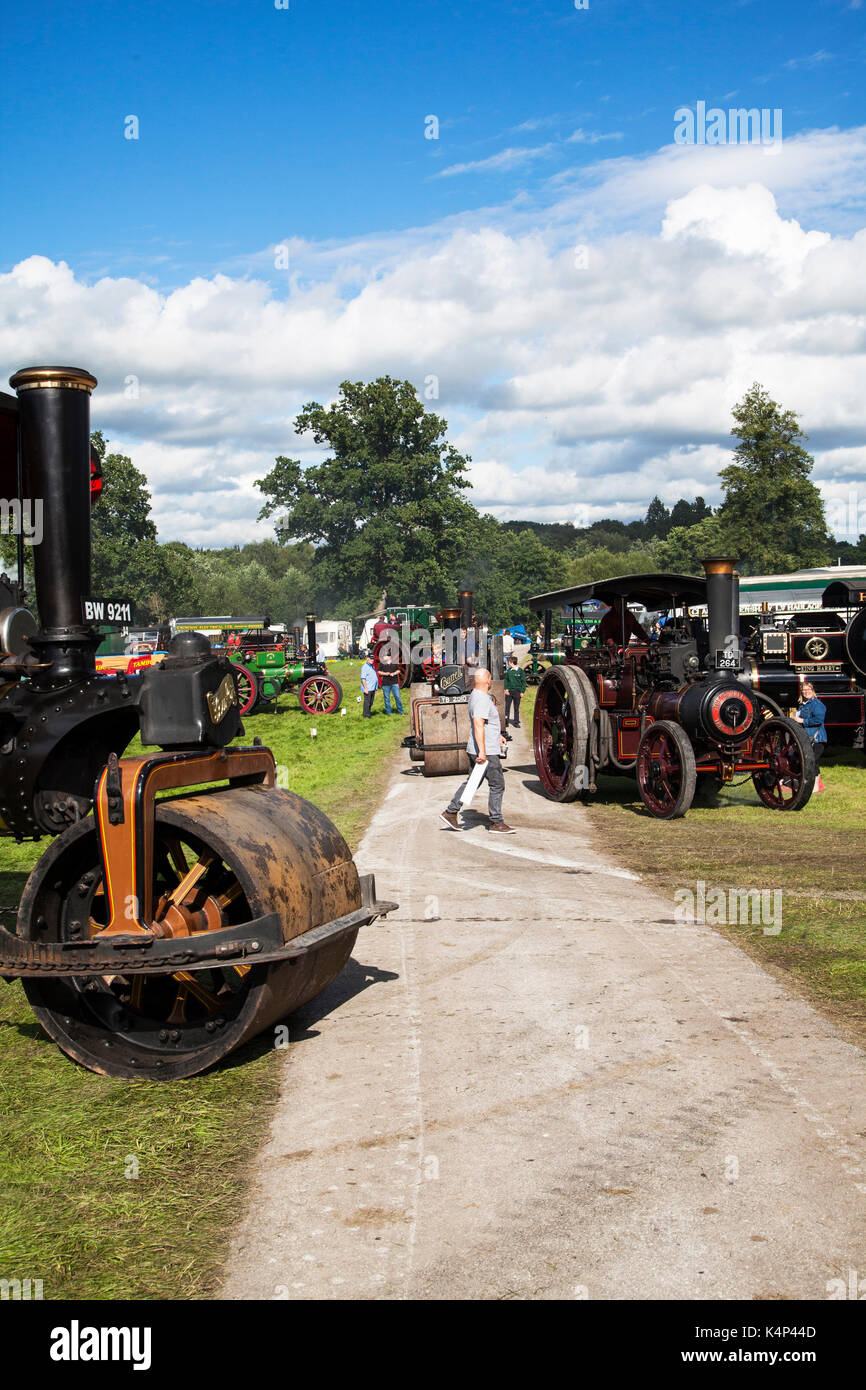 Vintage steam traction engine and steam roller rally at Astle park ...