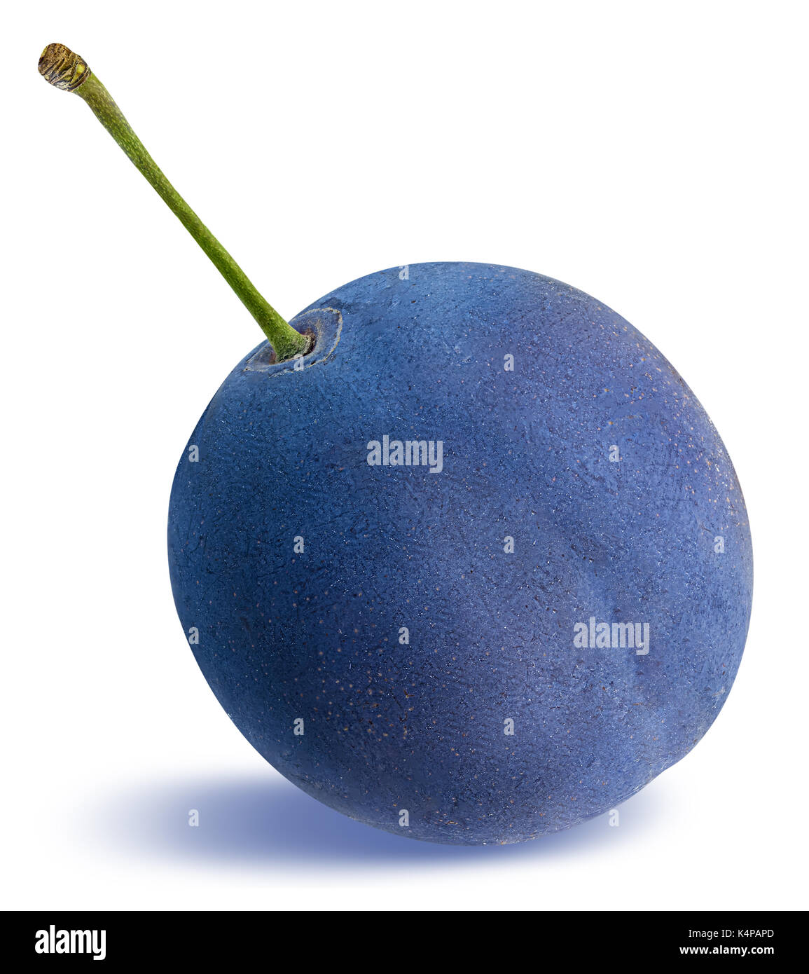 Blue plum isolated on white background with clipping path Stock Photo ...