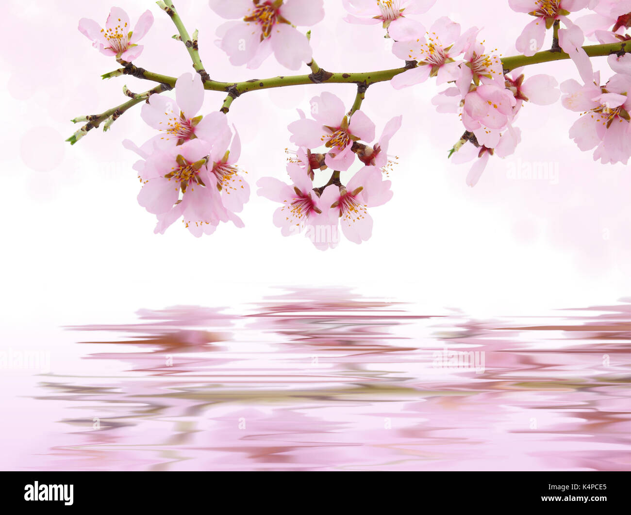 Girl reflected in water hi-res stock photography and images - Alamy