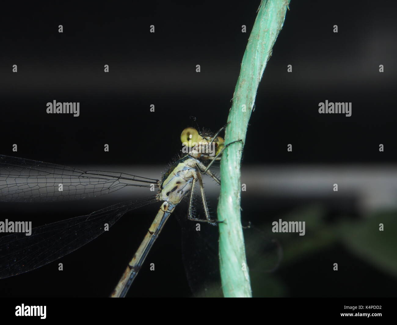 Sitting on the rope hi-res stock photography and images - Alamy