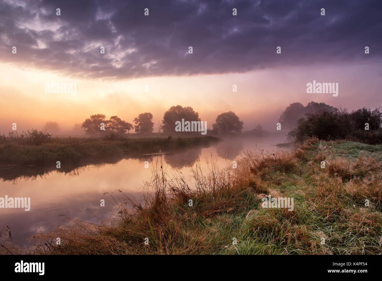 Beautiful fantastic dramatic foggy hi-res stock photography and images ...
