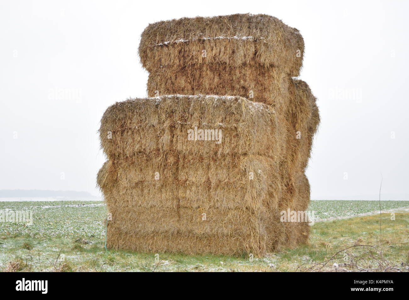 Beautiful green landscape with hay Stock Photo - Alamy