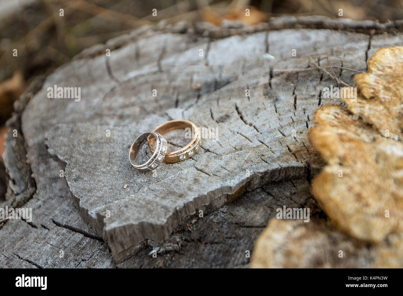 Wedding Rings Outdoors on the Tree Background Stock Photo - Alamy